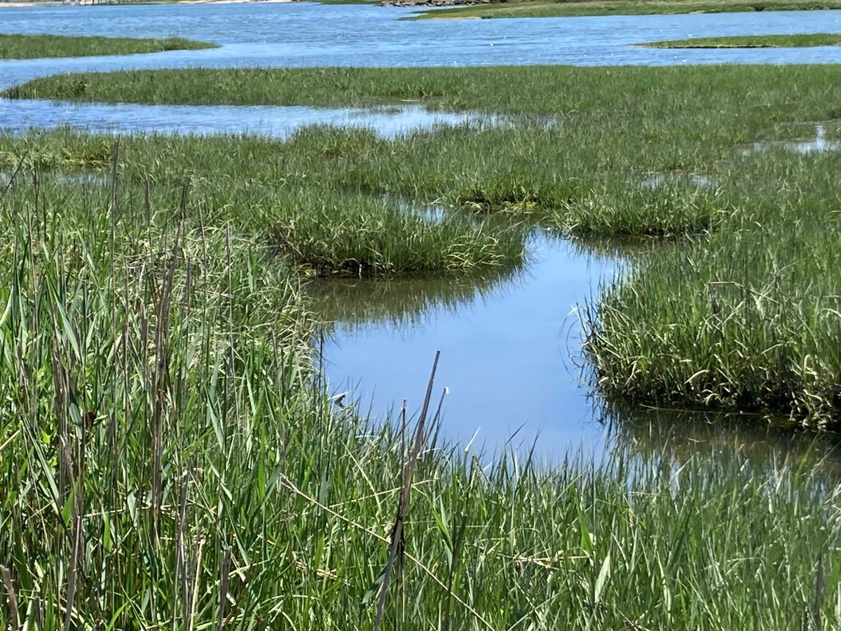 “A mischievous fairy called Hob”: The story of Hob’s Hole in Plymouth ...